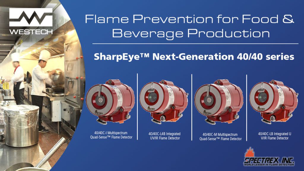 Flame Arrester, Flame and Gas Detection, Analyzers, plus valve services ...
